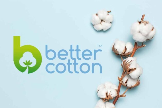 Better Cotton hosts multi-stakeholders event in West Africa | TEXtalks ...